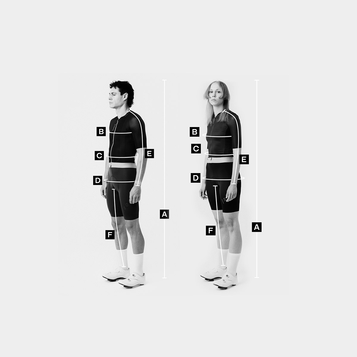 How to fit guide | Isadore