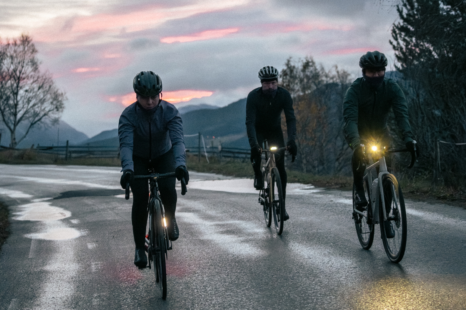 Signature Winter Hardshell Jacket Forest Biome